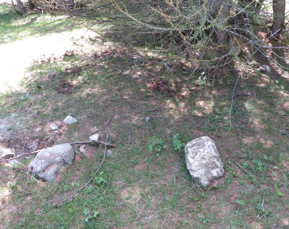 Observer et collecter les chilopodes : méthodes et techniques ...