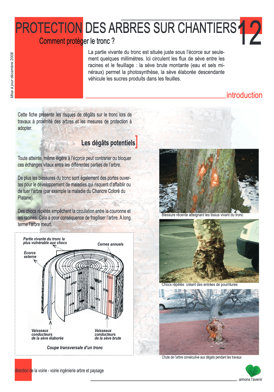 Protection des arbres en phase chantier - Observatoire de la Biodiversité en Auvergne-Rhône-Alpes