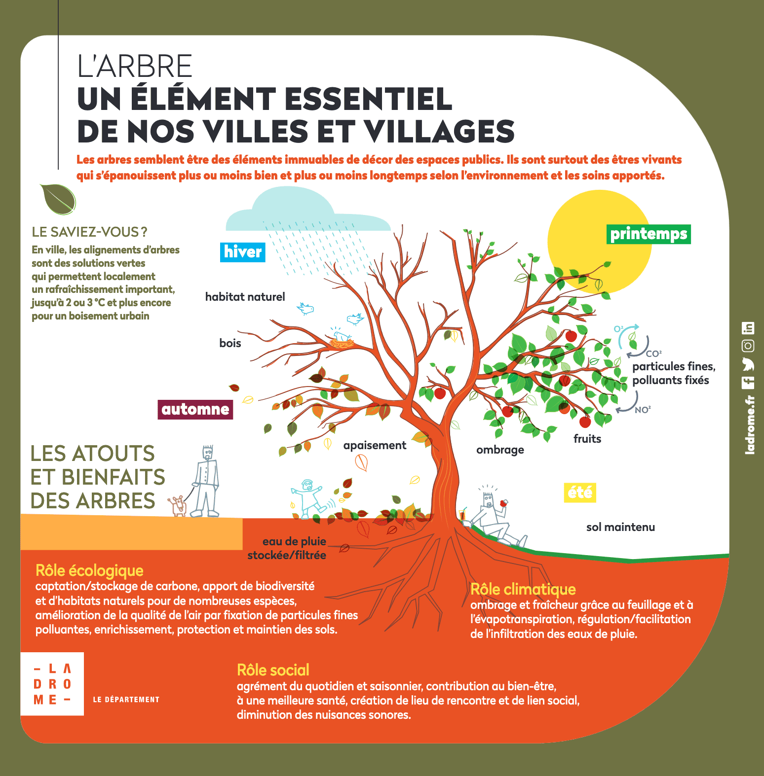 L'arbre, un élément essentiel de nos villages - CAUE 26 - Observatoire ...